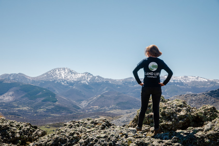 Zalando: Reforestation Project Between Land Life Company and Zalando ...